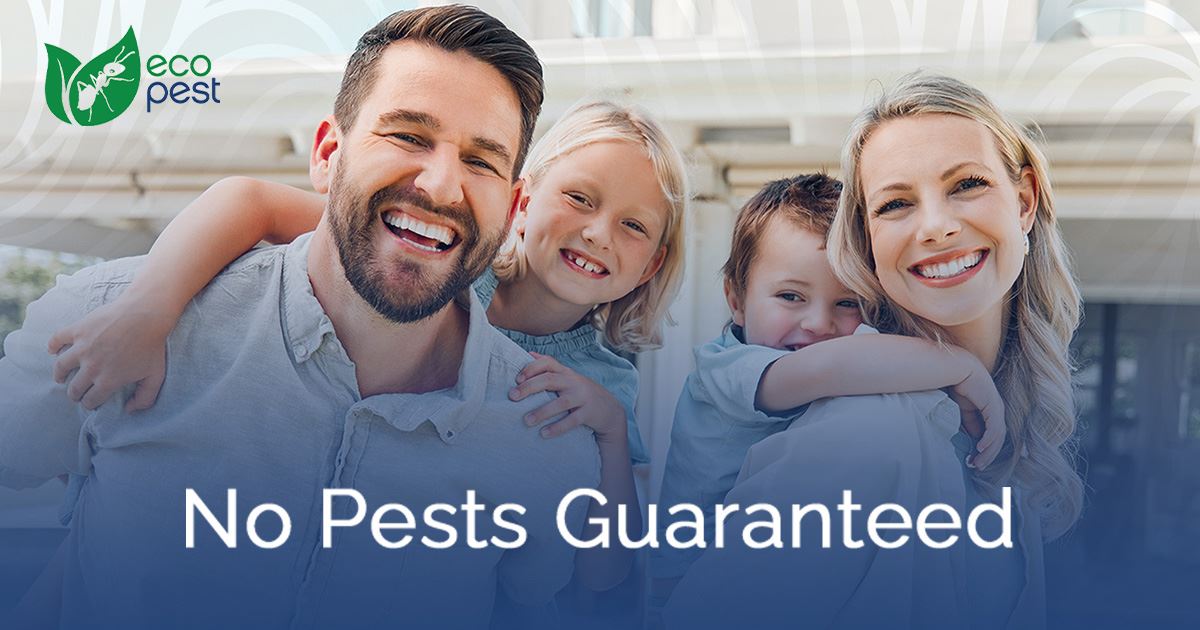 Richmond VA Commercial Pest Control Experts